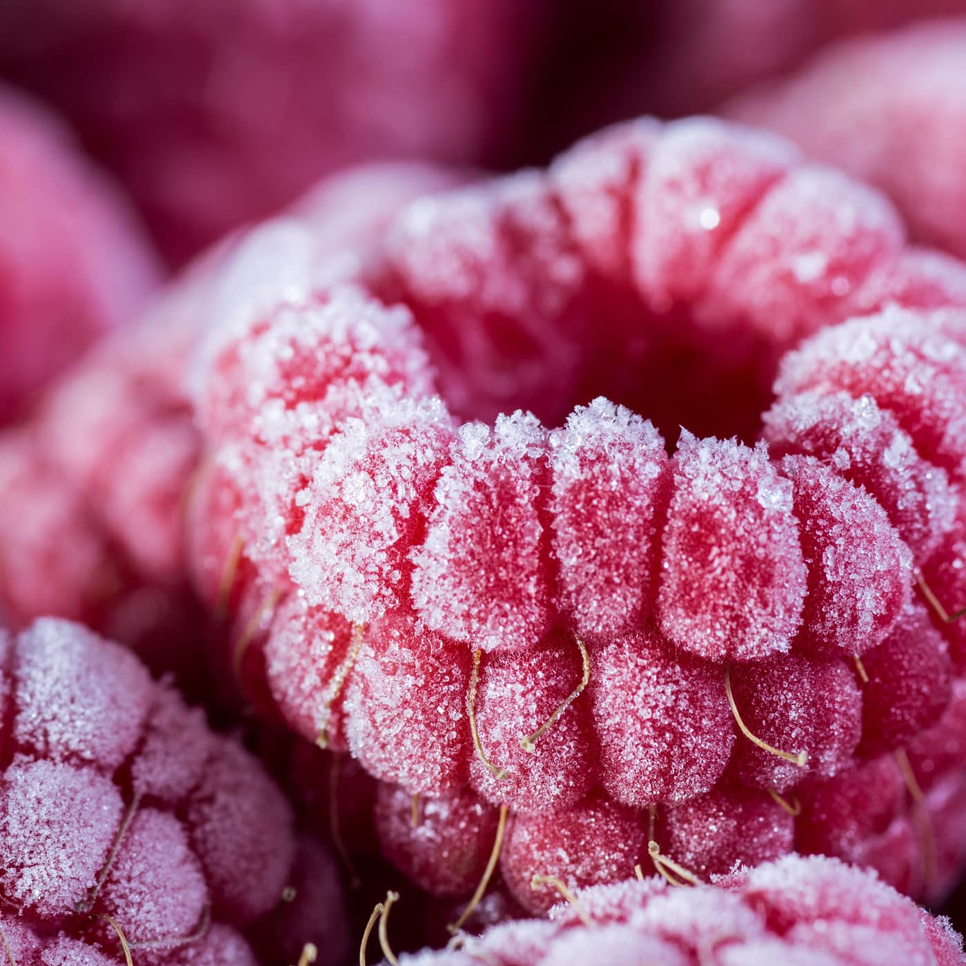 Taufrisch! Dies ist die neue Website von HIMBEER! // HIMBEER