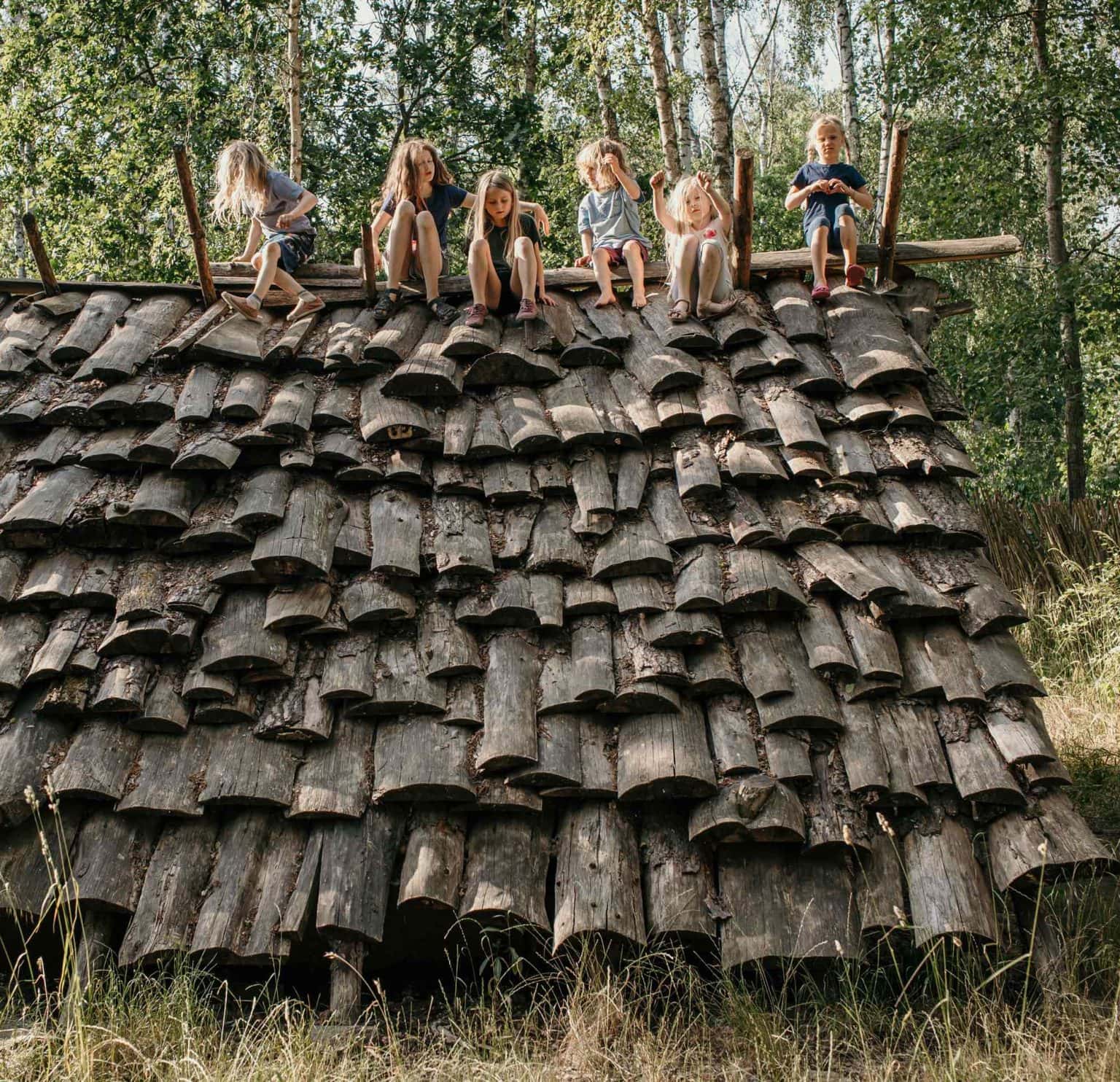 Naturerfahrungen für Kinder: Wilde Welt Moorwiese // HIMBEER